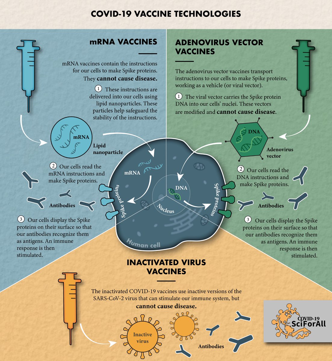 Department of Cell & Systems Biology