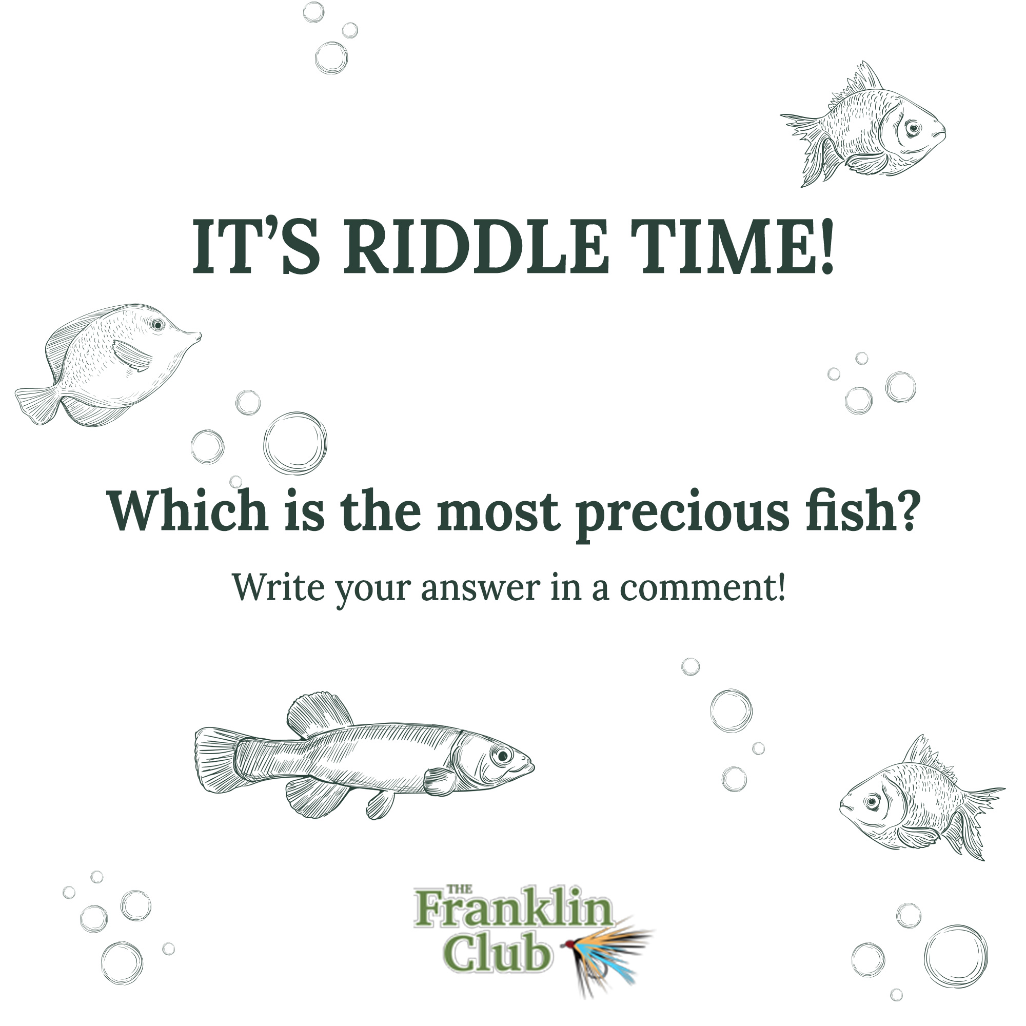 Fish Jokes And Riddles Fish Jokes, Halibut Puns, Sailfish Humor 4