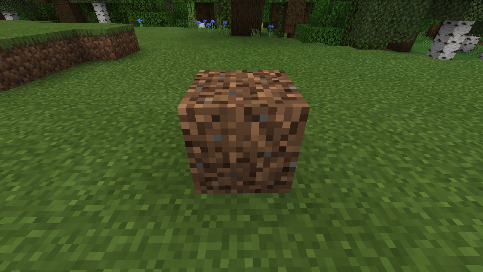 Minecraft Portal 🇧🇷 on X: E na edição Bedrock, o bloco com o maior nome ...