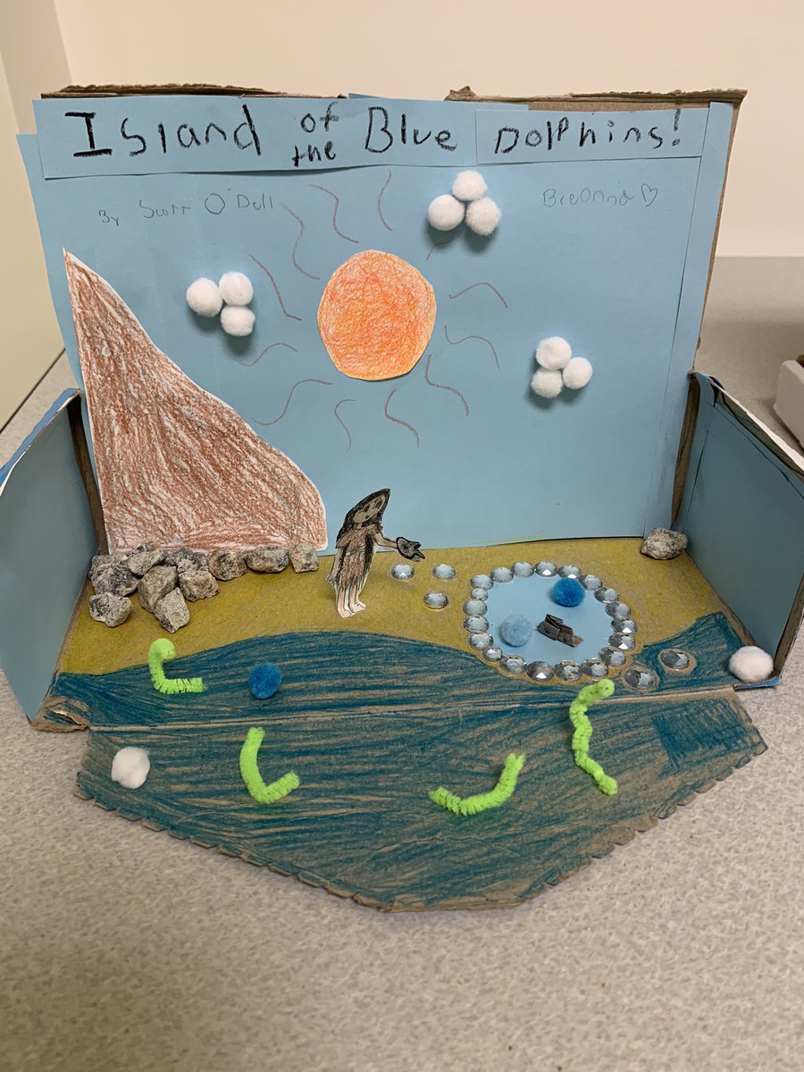 Dolphin Project Ideas