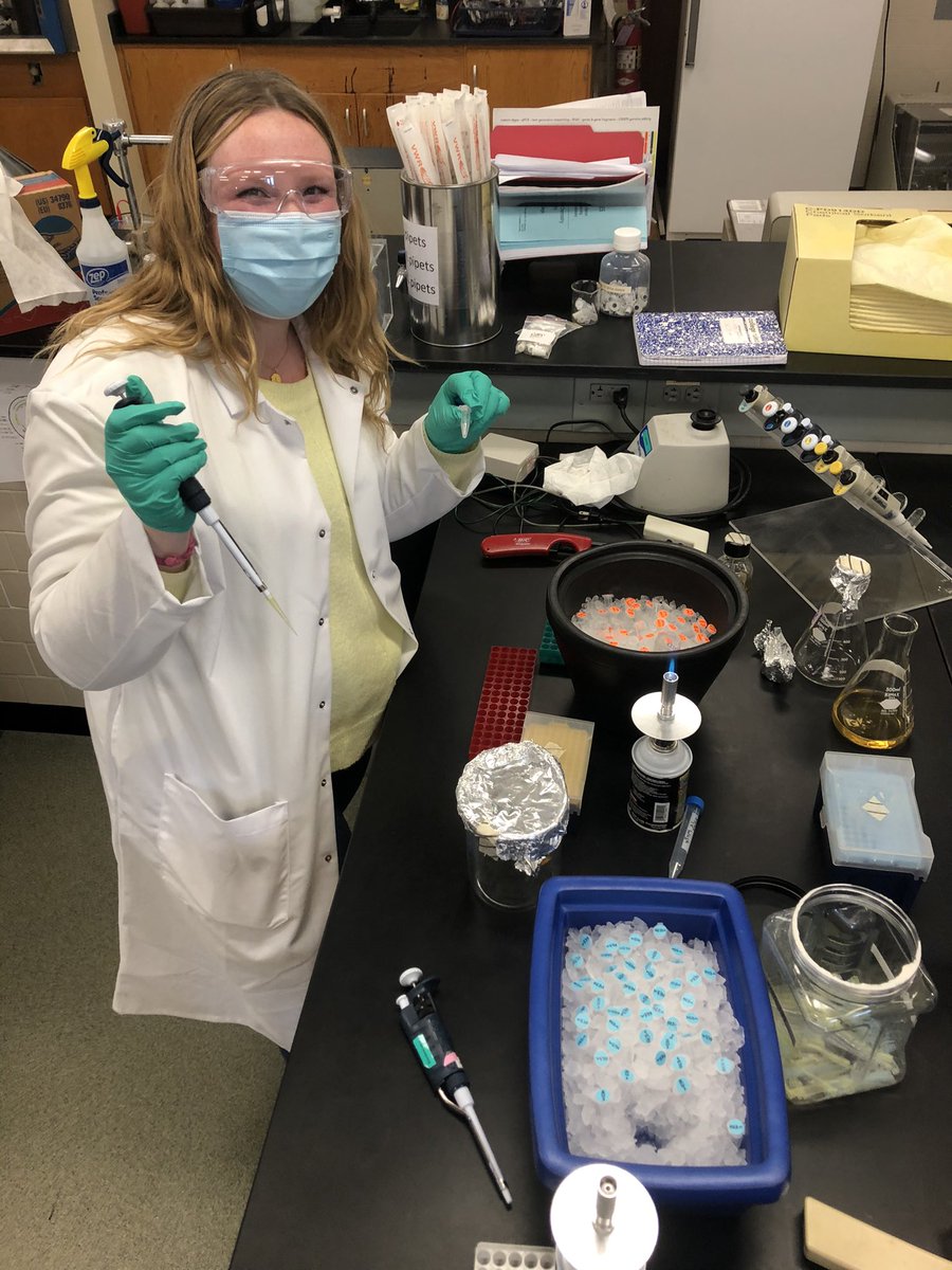 Tyler Stack (@Stackteria) | Twitter