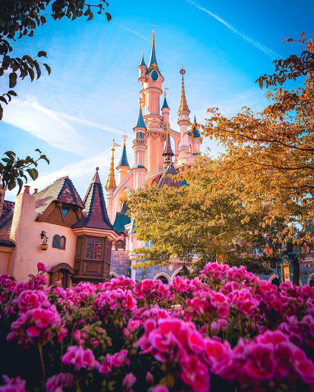 Disneyland Tumblr Pictures