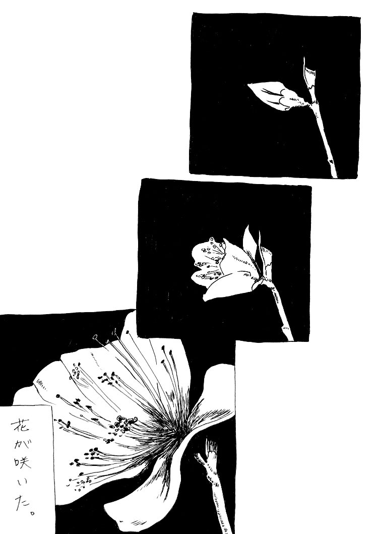 「これは告知の告知だが… 」Miokoの漫画