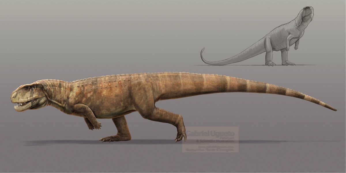 Fasolasuchus