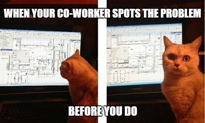 Teamwork Cat Meme