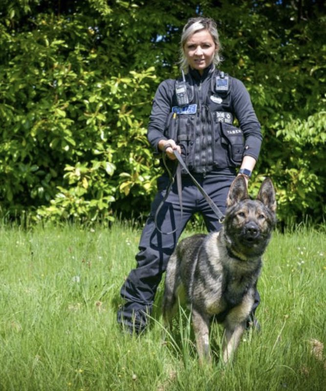 Are Police Dog Handler Police Officers