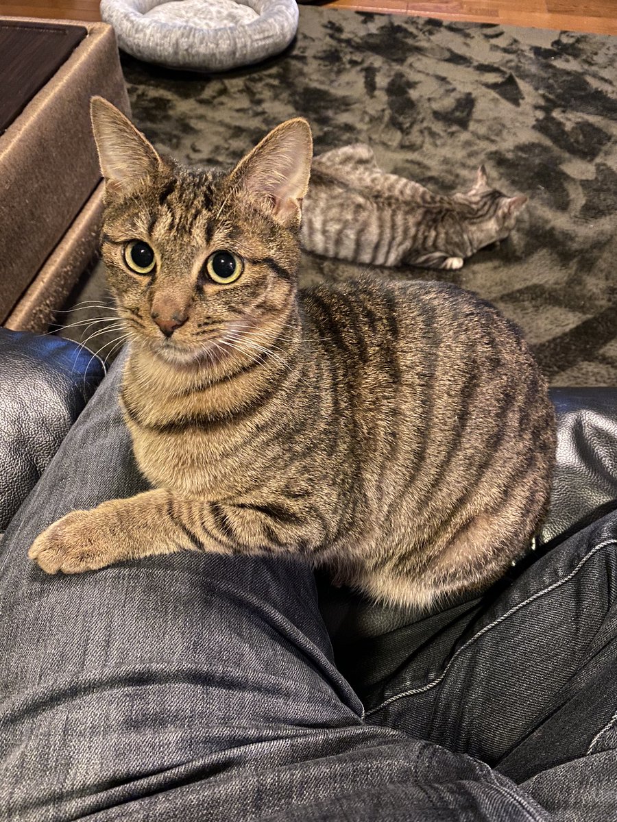 Hiroaki Nitta (@nitta_hiroaki) | Twitter