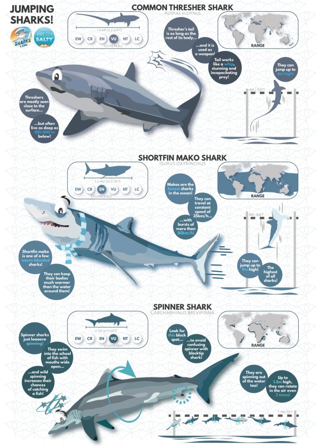 Thresher Shark Jumping