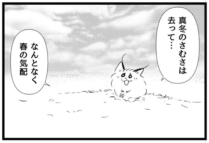 毛玉なカラカル vol.891 「入り混じる記憶」 | あいなつ さんのマンガ | ツイコミ(仮)