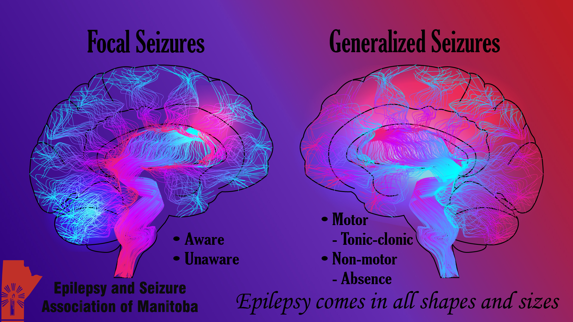 Types Of Seizures