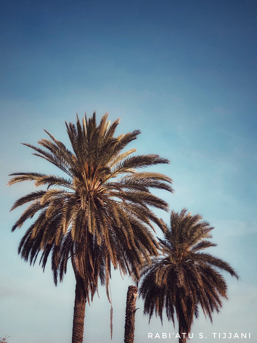 Mai Deribe Palace, Maiduguri. Nigeria. Over the weekend, I was chanced ...