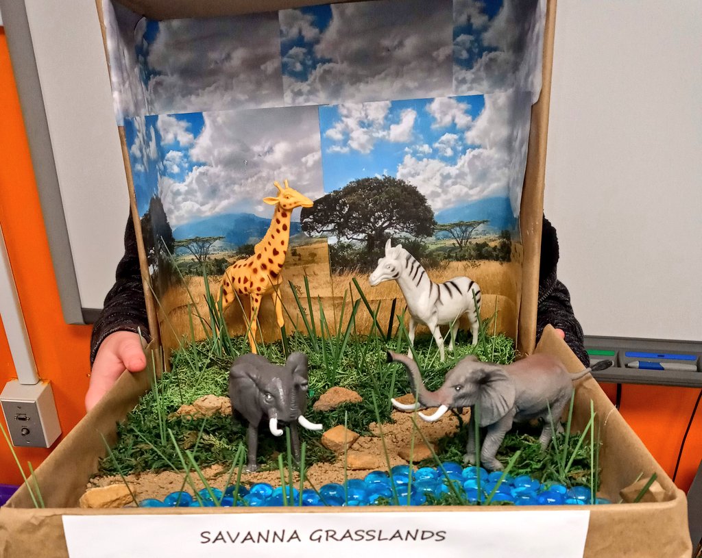 Grassland Ecosystem Diorama