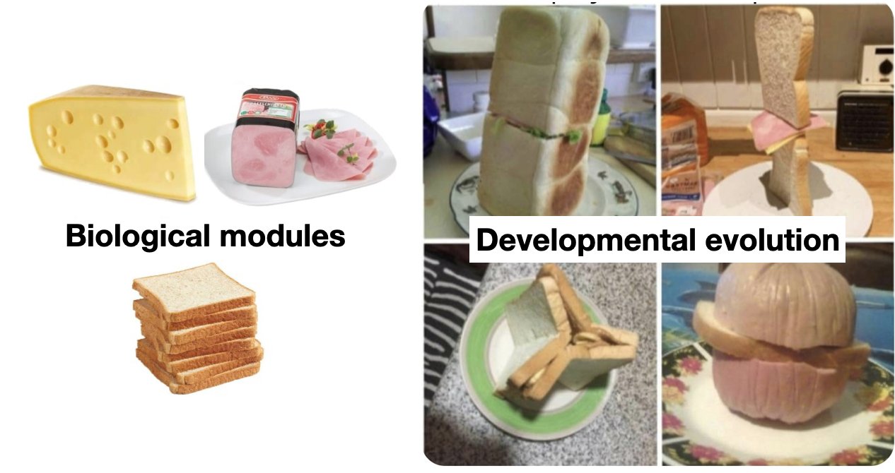 Devvo Memes Devo GIFs | Tenor