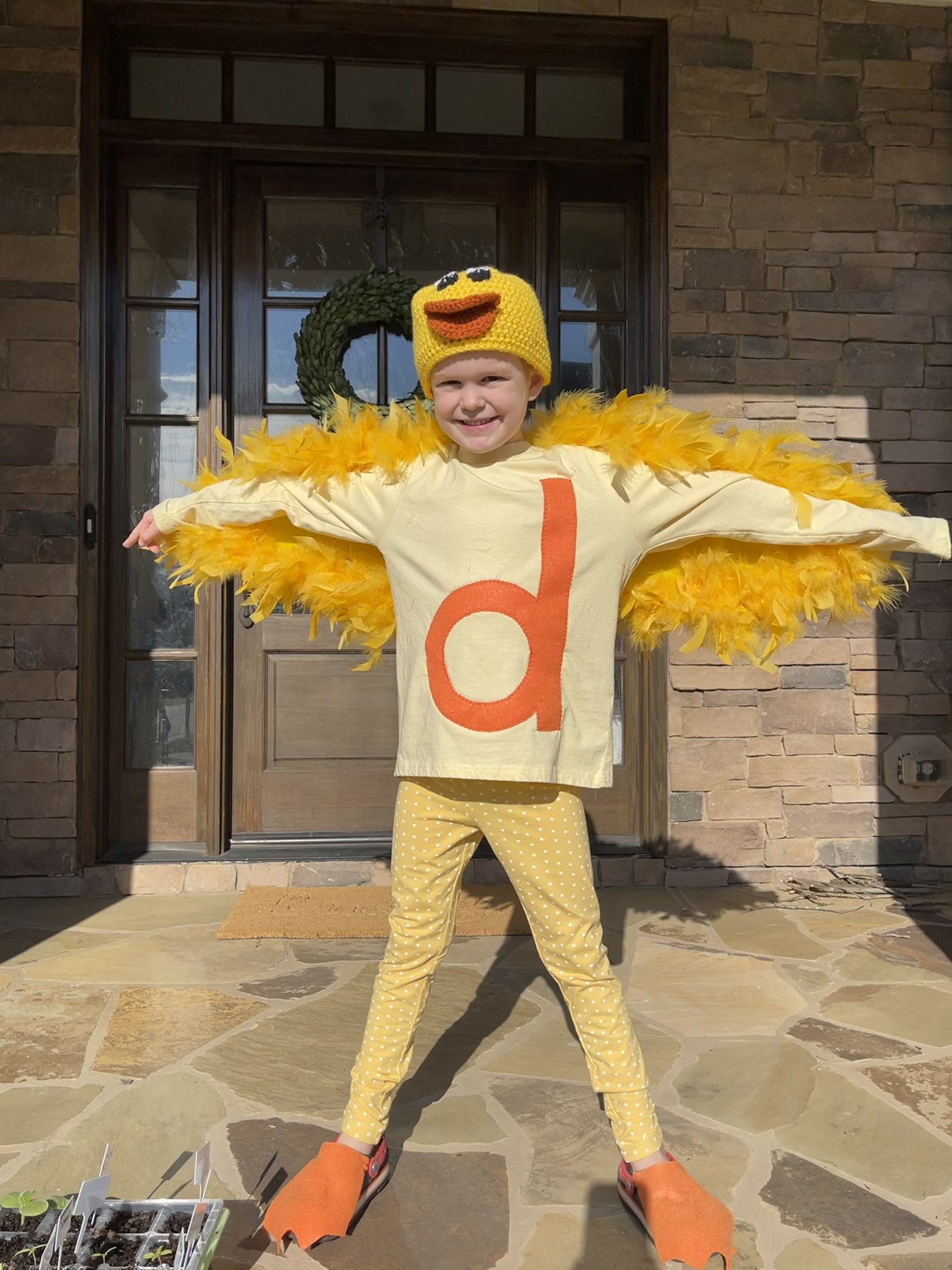 Dippy Duck Letterland