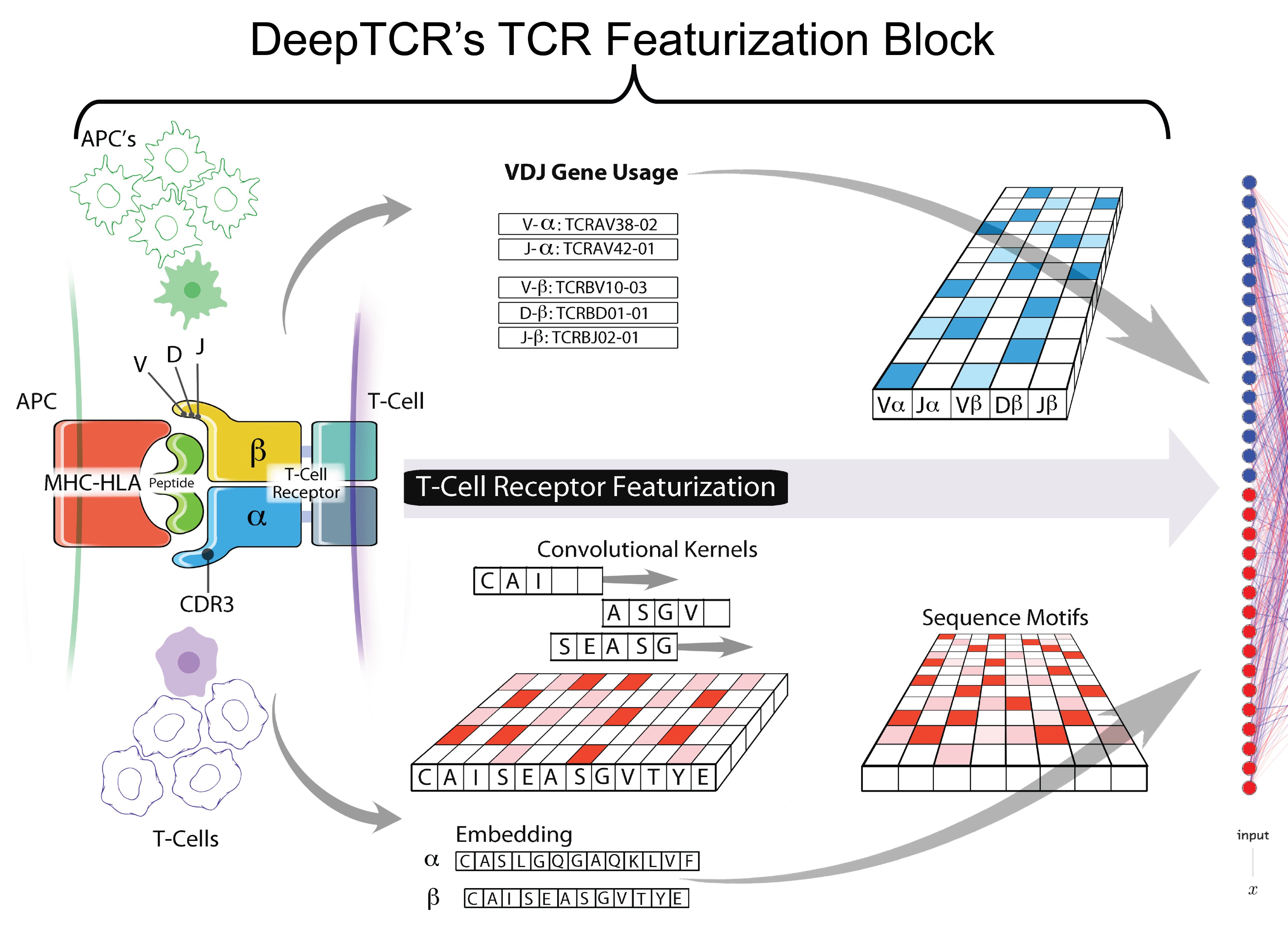 Alex Baras (@alexander_baras) / Twitter