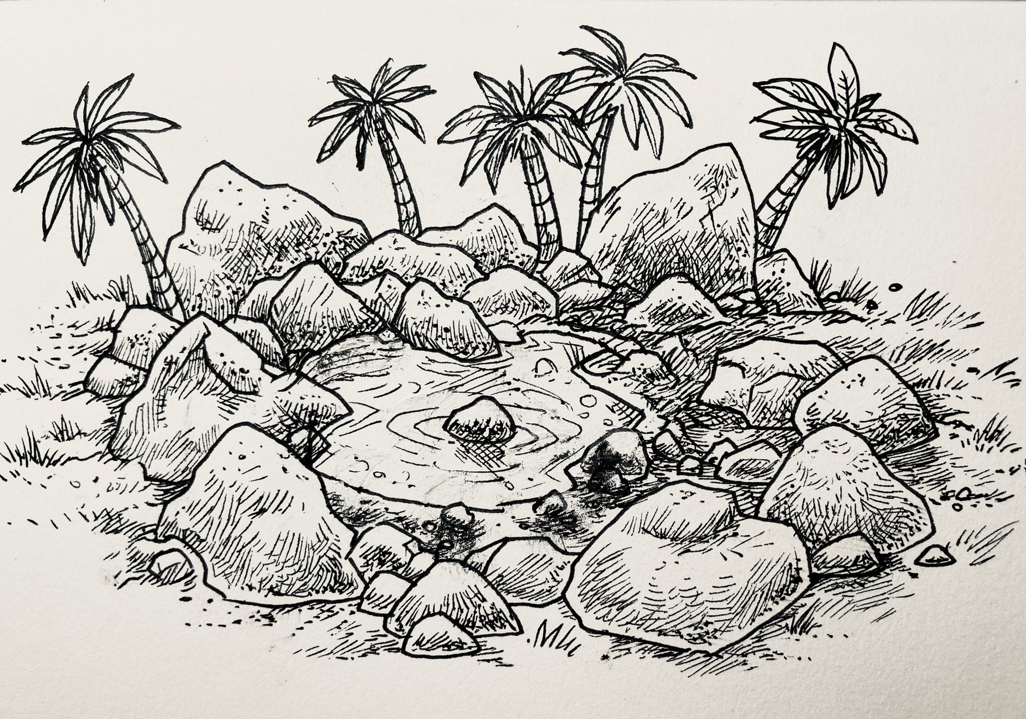 Desert Oasis Drawing