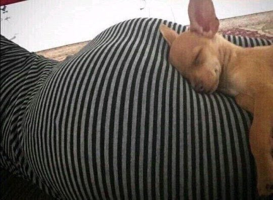 Ecch' n' Skecch (Comms closed) on Twitter: "@FlorescentColo2 tank u https://t.co/g8Gf6xNU5Q ...