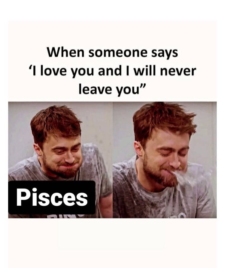 Memes For Pisces Zodiac Signs Memes: Aries, Taurus, Gemini, Cancer,