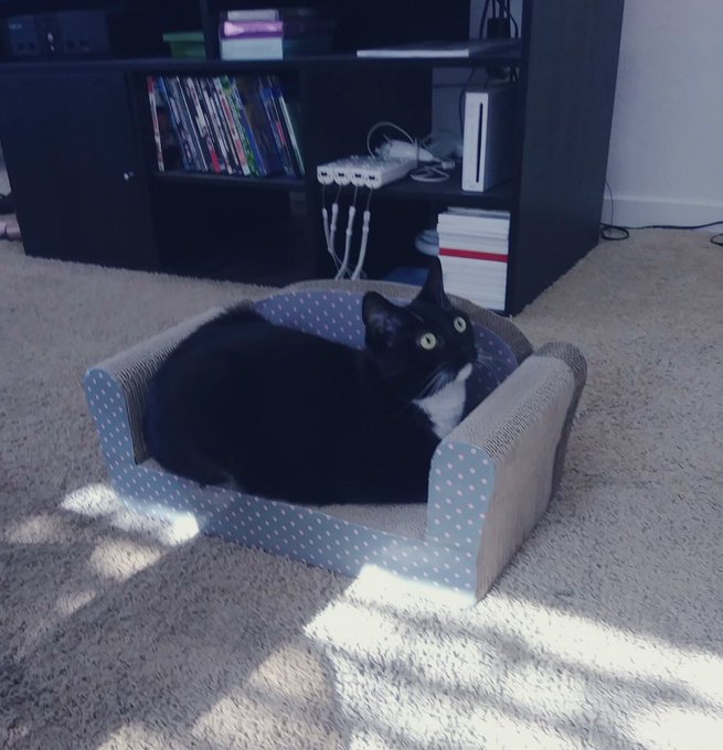 TW Pornstars - Emery Everest (aka Monica Ice). The most liked pictures ...