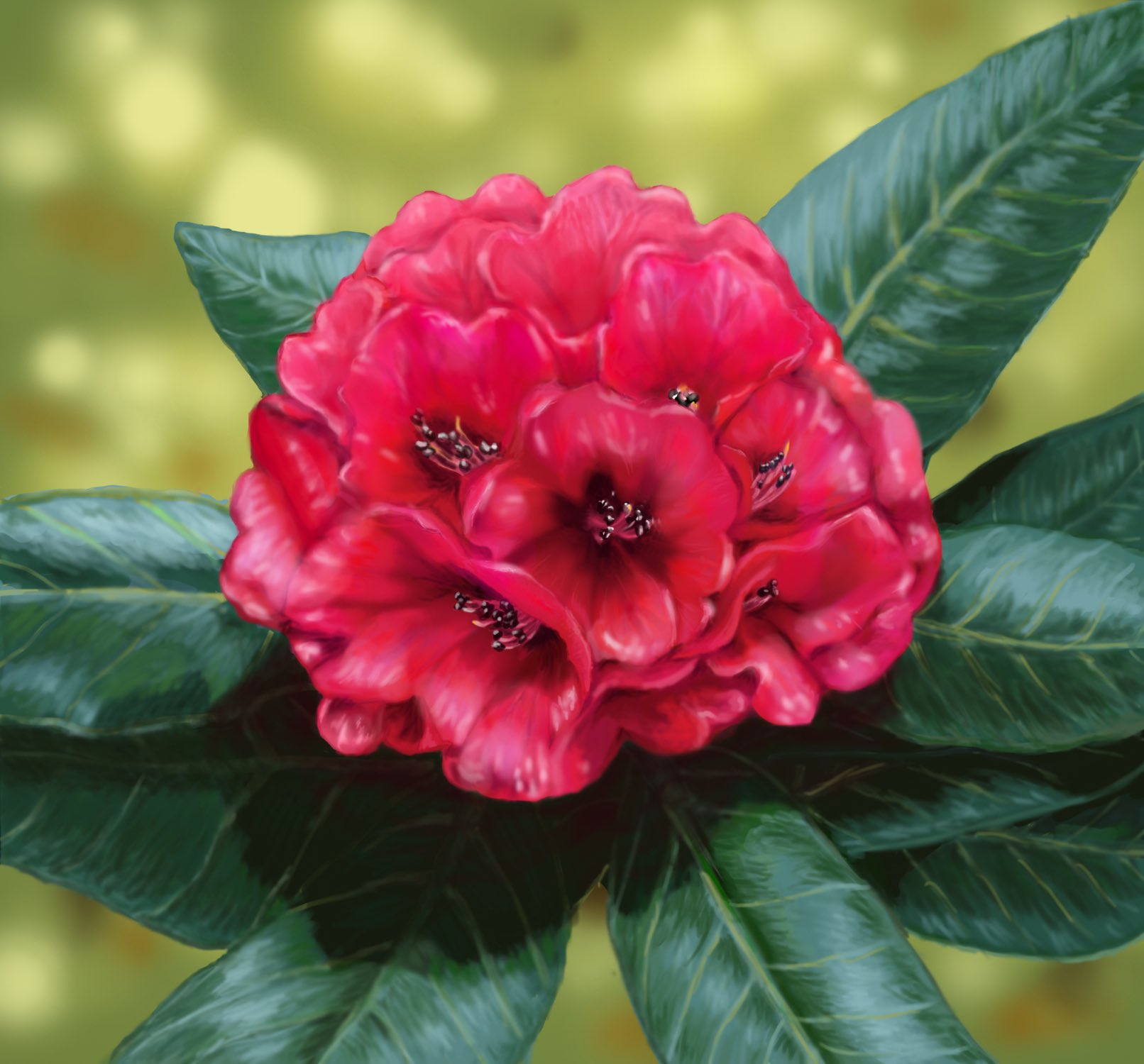 Nepali National Flowers