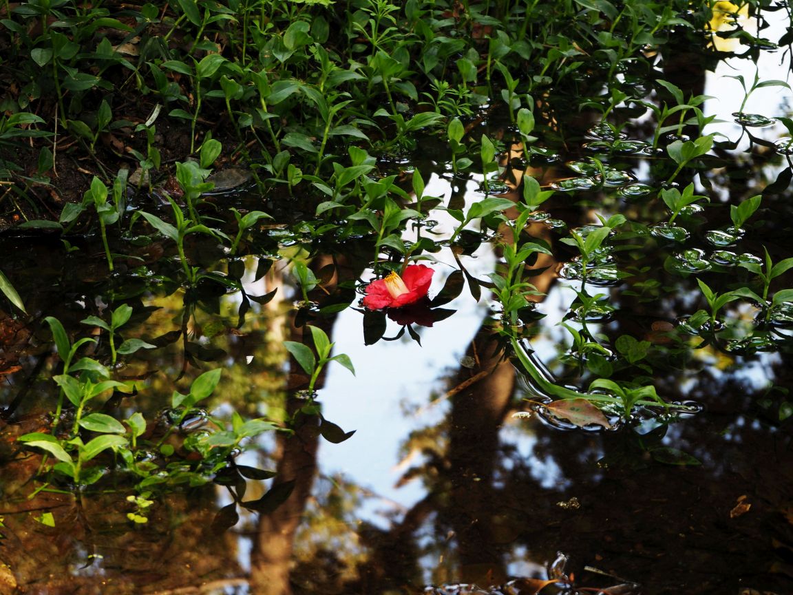 一双(@issow) - Twilog (ツイログ)