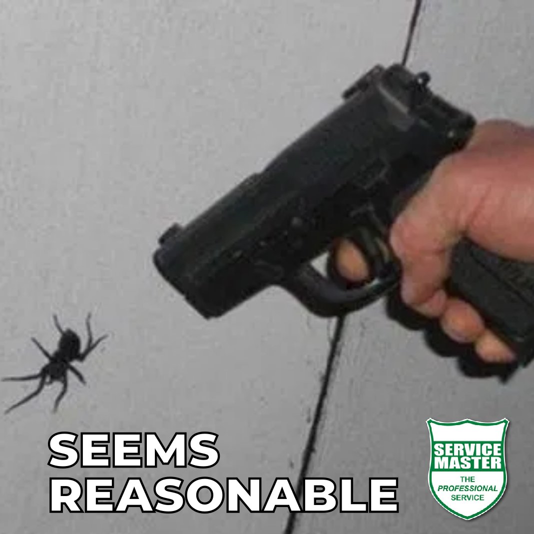 Gun Spider Memes Saltgun Vs #spider #saltgunfun #fy #fypシ゚viral