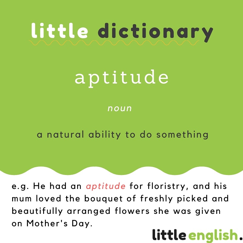 Aptitude Definition