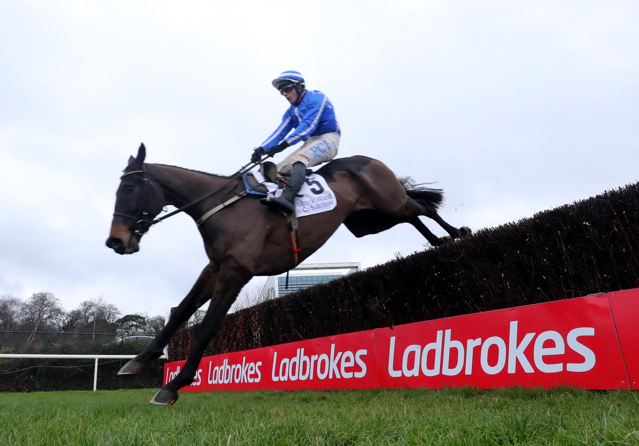 The Winners Enclosure on Twitter: "BREAKING: Energumene is OUT of the Cheltenham Festival!!! 😳😳😳 ...