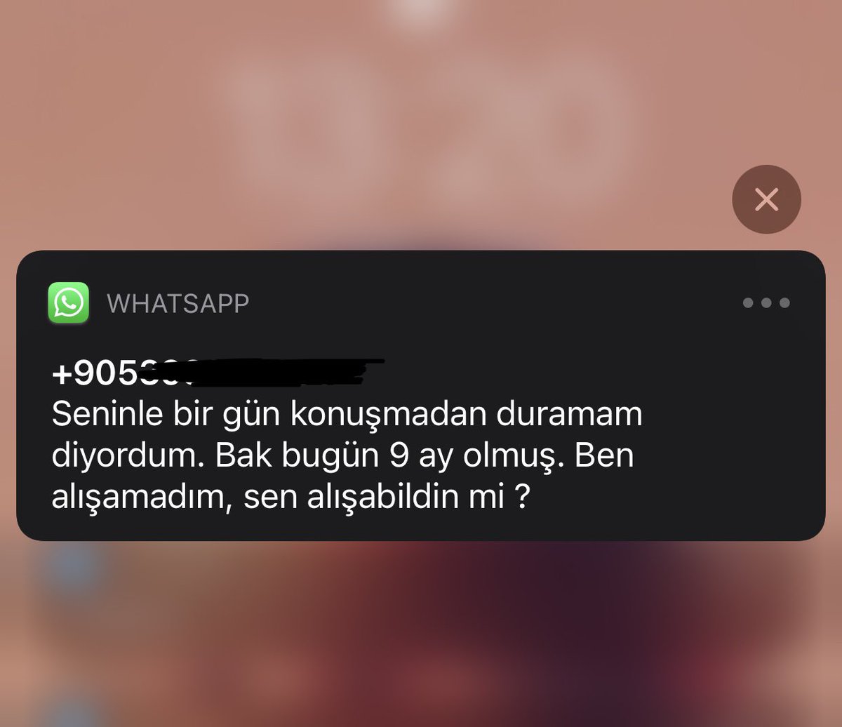 Halil Avc (@Halil_avc0) | Twitter