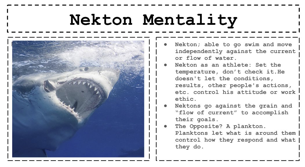 Nekton Plankton