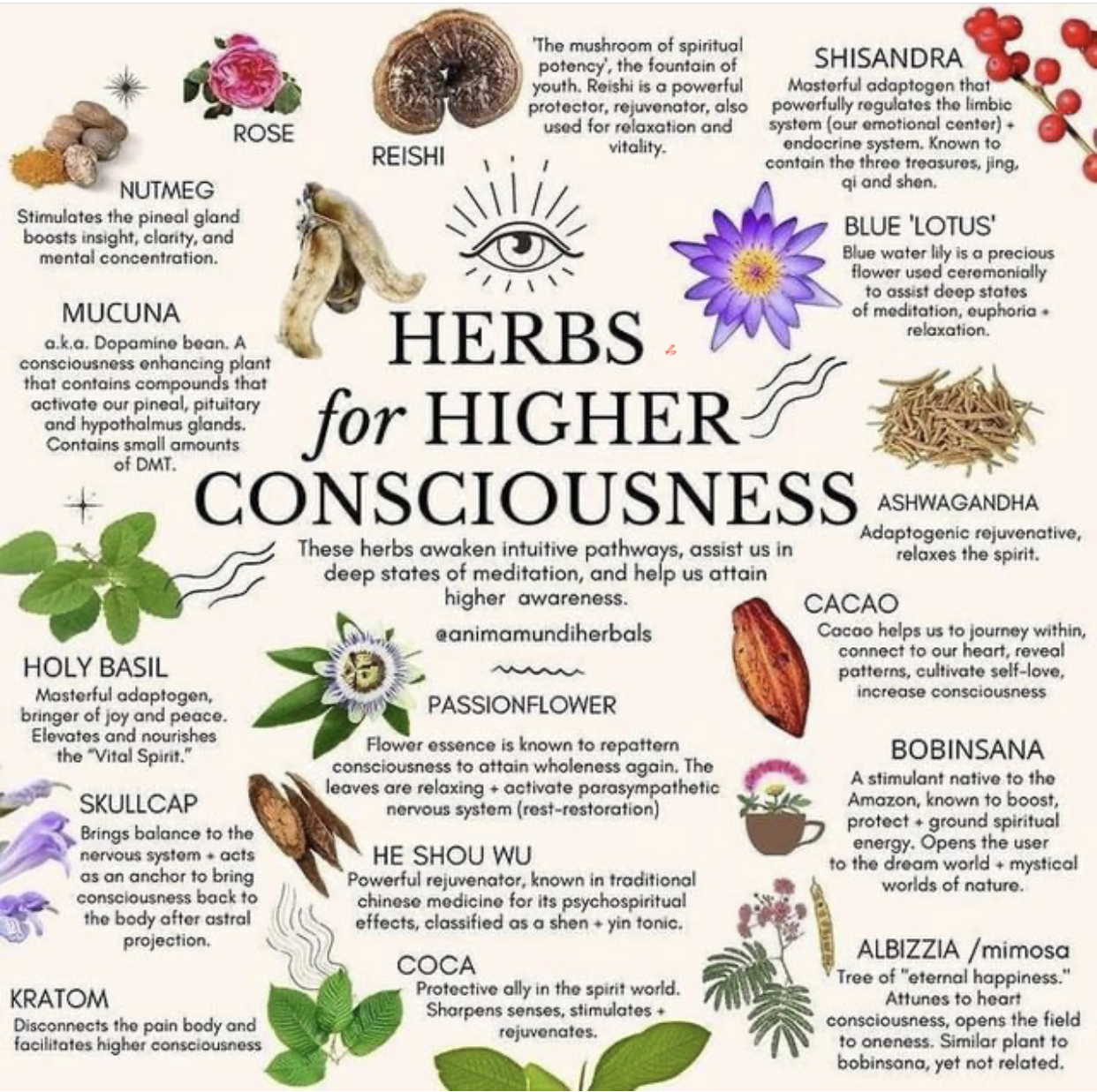 Higher Consciousness Chart