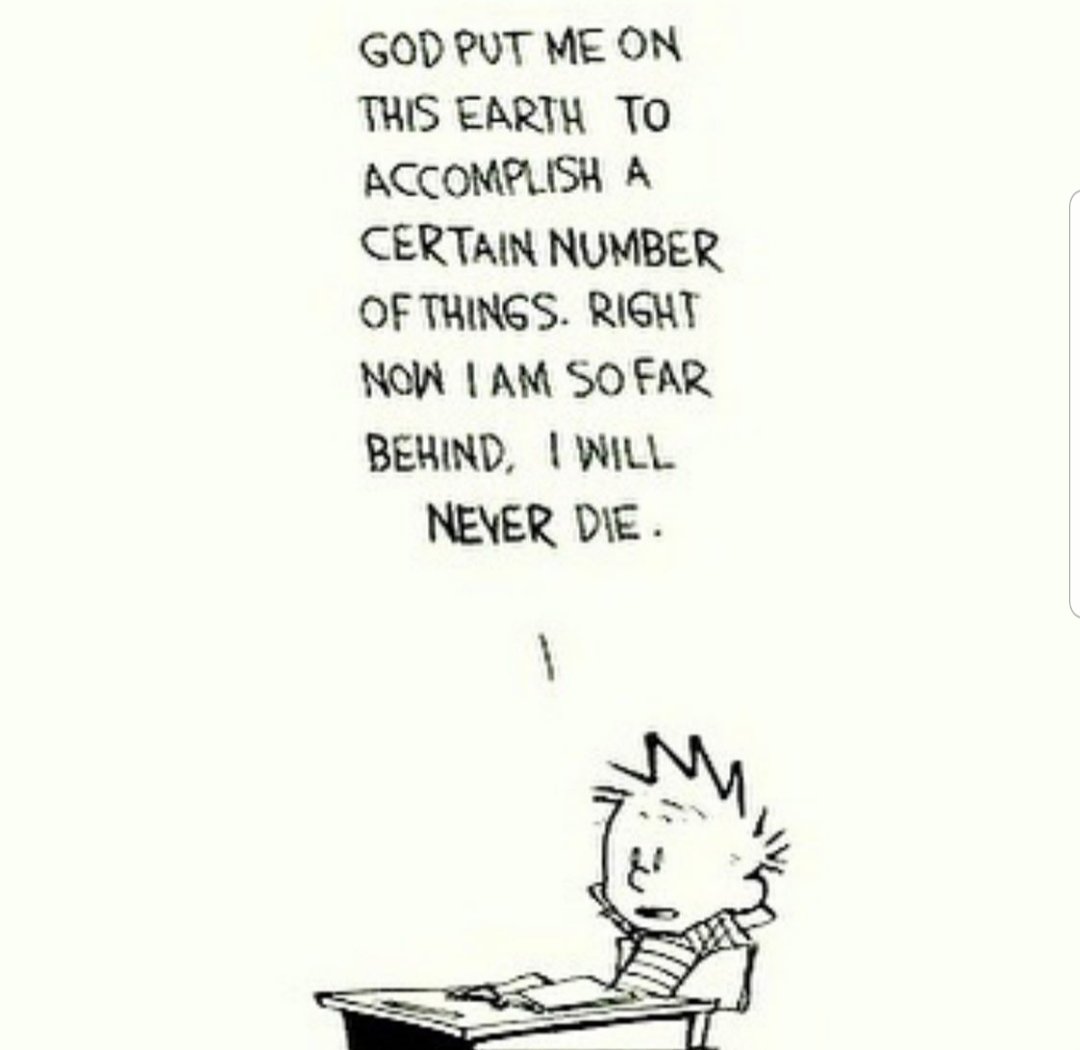 Calvin And Hobbes Quotes God Put Me On This Earth