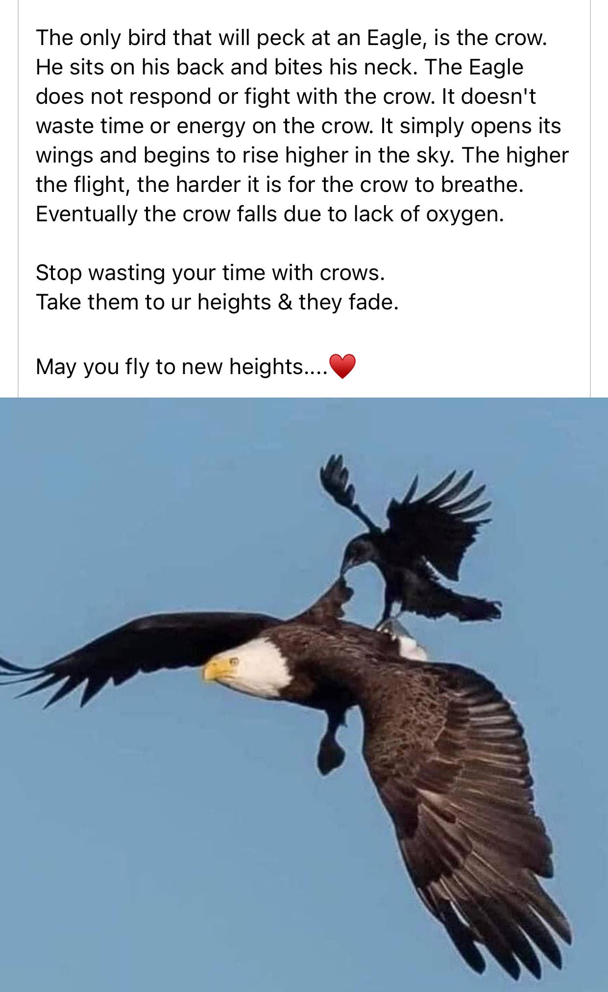 TW Pornstars - Ariel X. Twitter. So... get them high then kill them ...