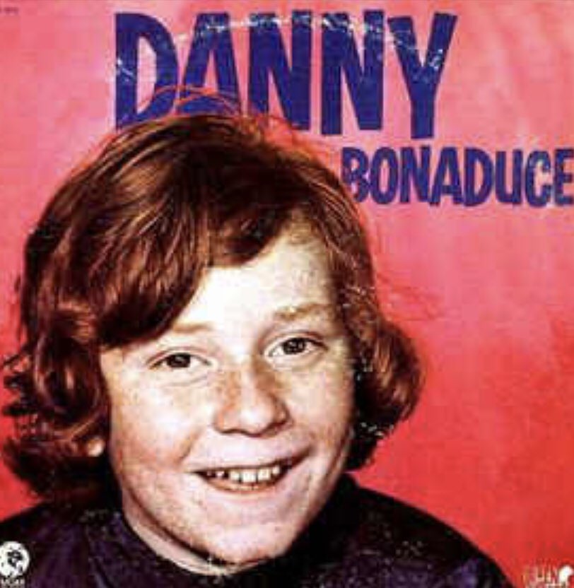 Danny Bonaduce Partridge Family