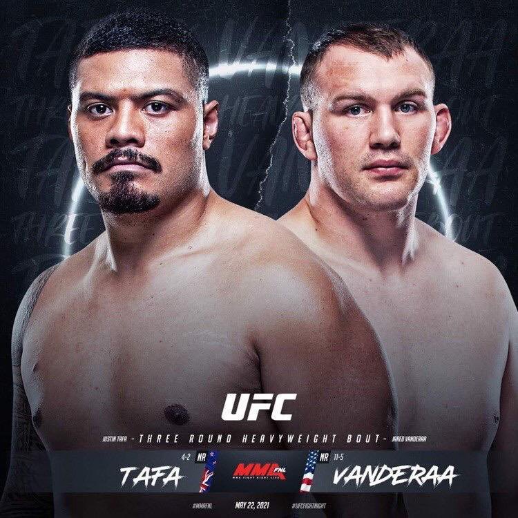 Ufc 176 Poster