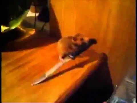 Hamster with knife Paper Paper & Party Supplies etna.com.pe