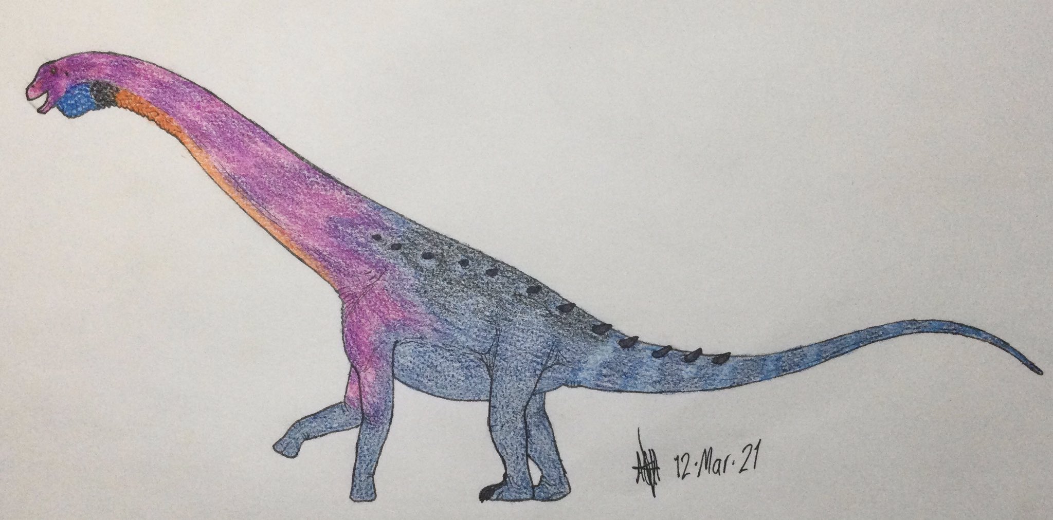 Alamosaurus Skeleton