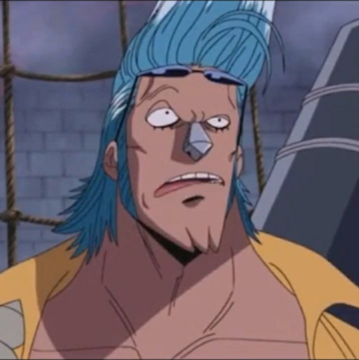 One Piece Time Skip Franky