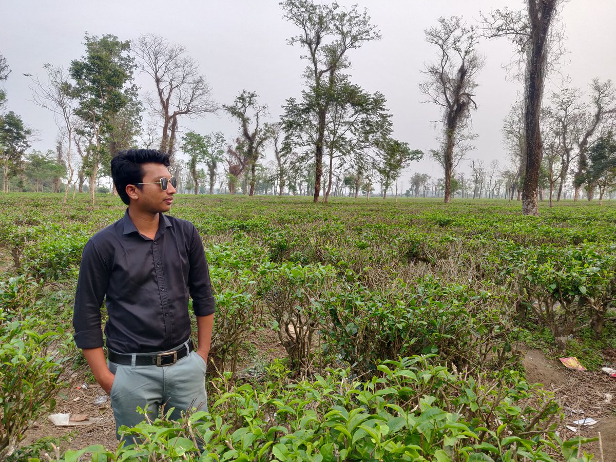 Md Toha Kamal (@kamal_toha) | Twitter