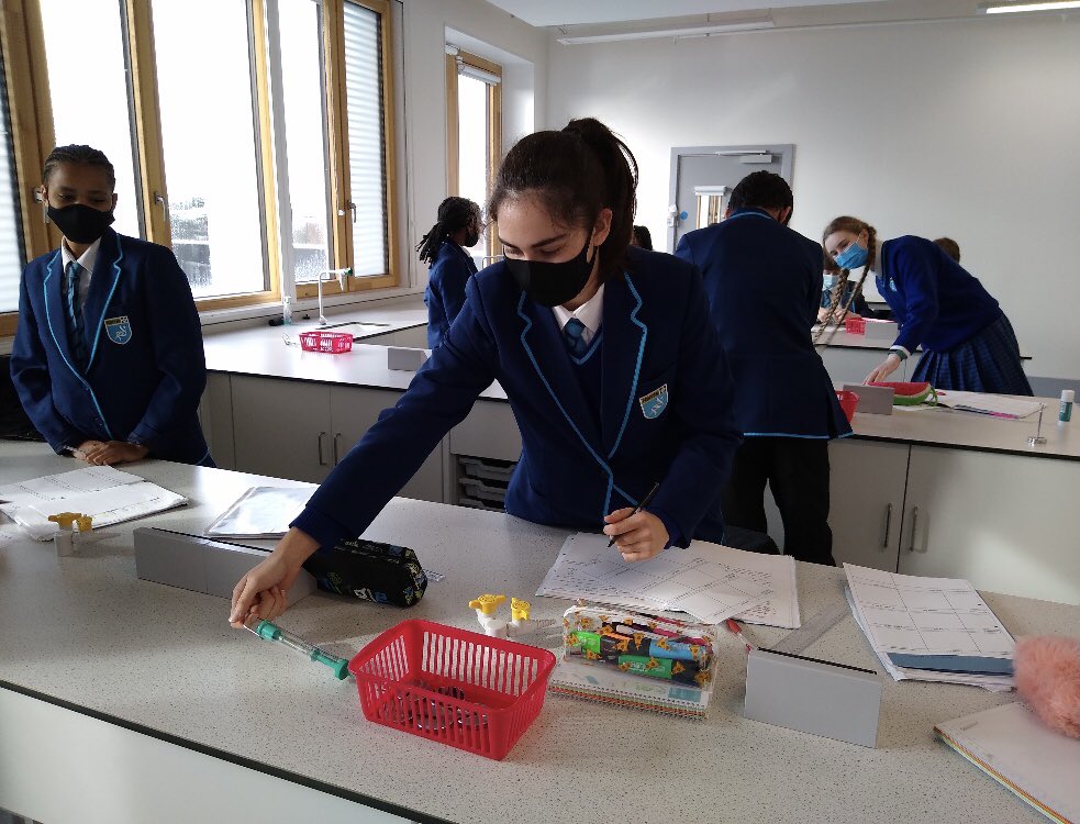 Harris Academy Sutton