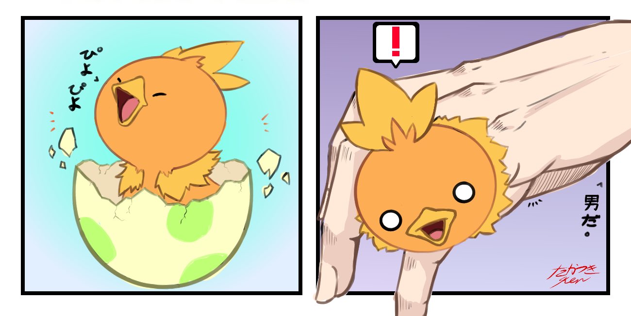Chibi Torchic
