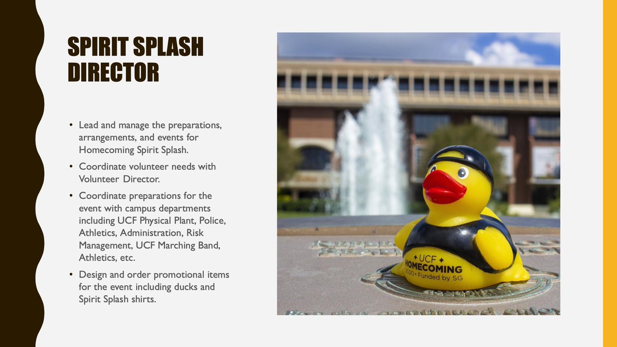 Spirit Splash Duck - Volontariat