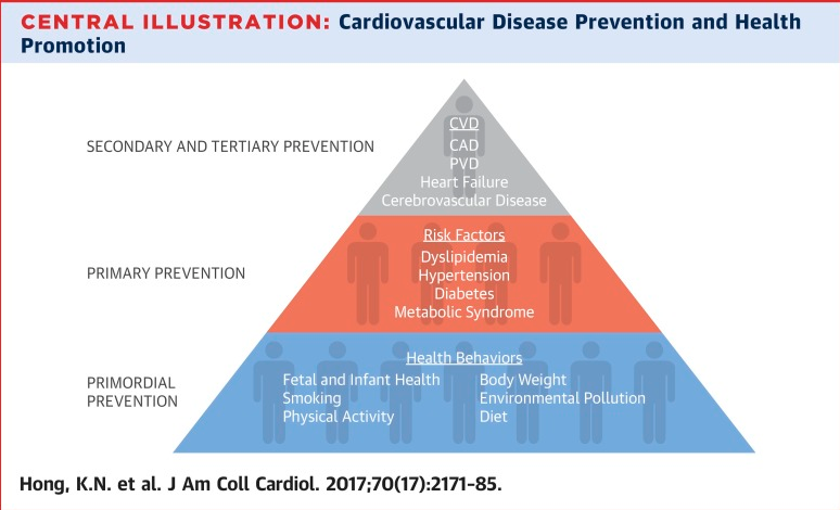 Cardiovascular Health Promotion: An Issue That Can No Longer Wait ...