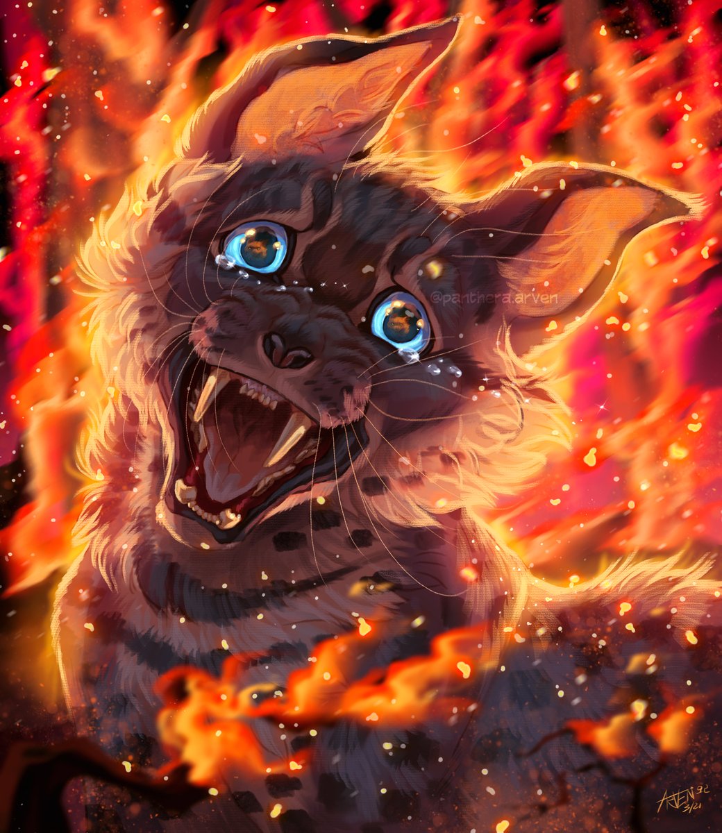 Squirrelflight And Ashfur Fire