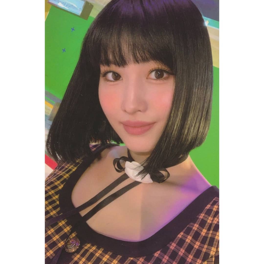 性欲 (@twice_manko) | Twitter