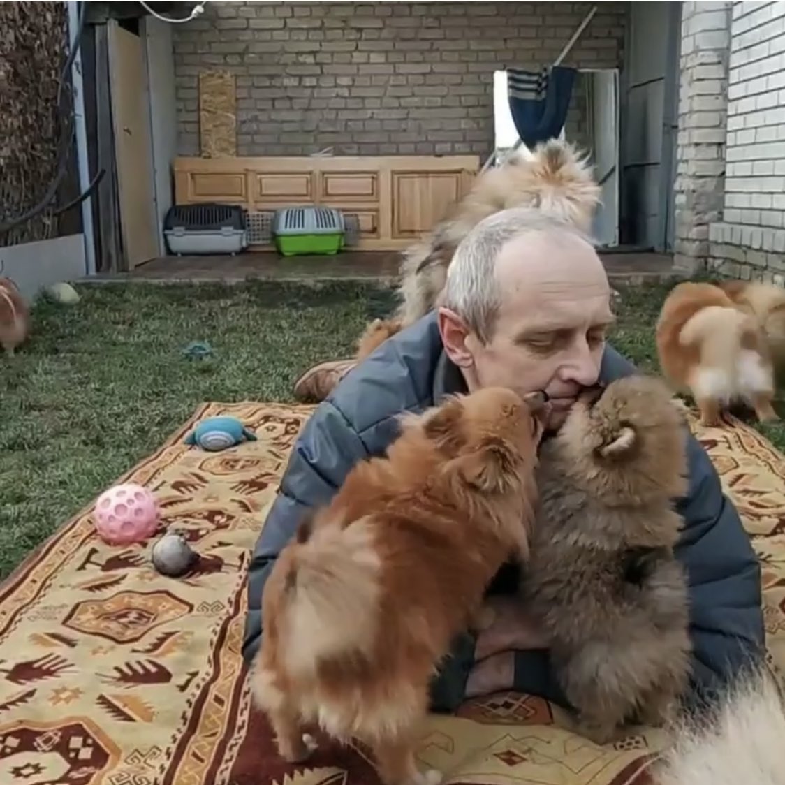 愚鈍(@po_iz) - Twilog (ツイログ)