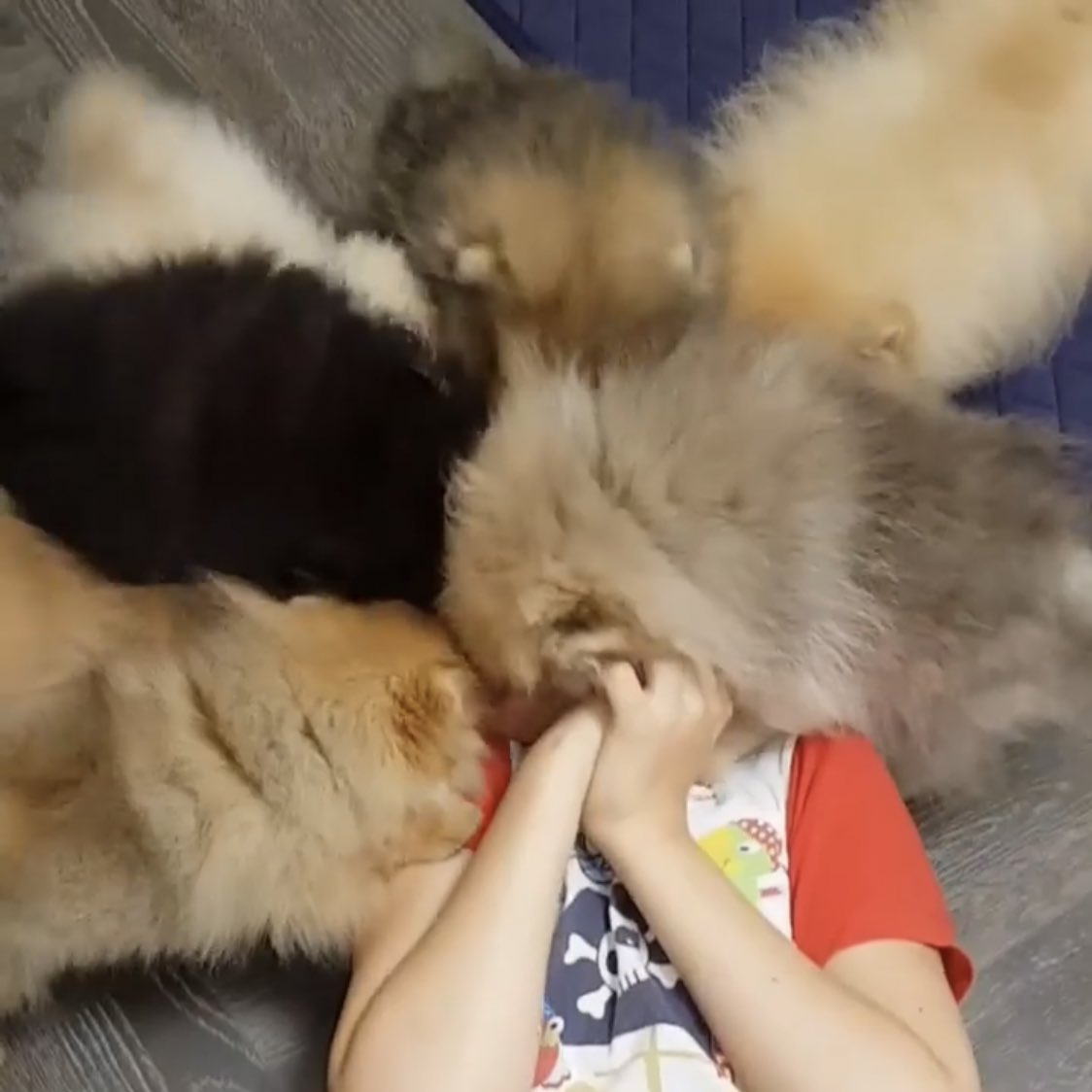 愚鈍(@po_iz) - Twilog (ツイログ)