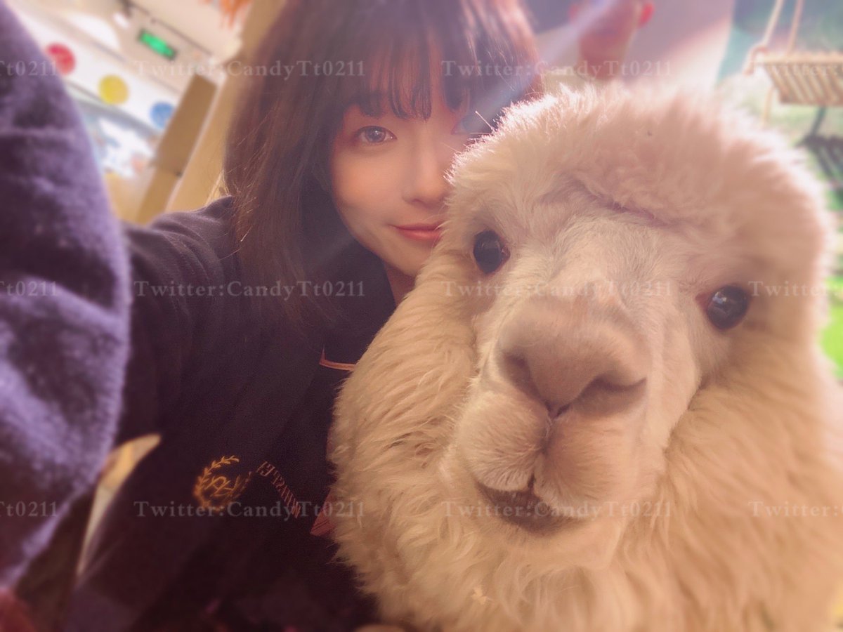 午安~ - CandyTt @candytt0211