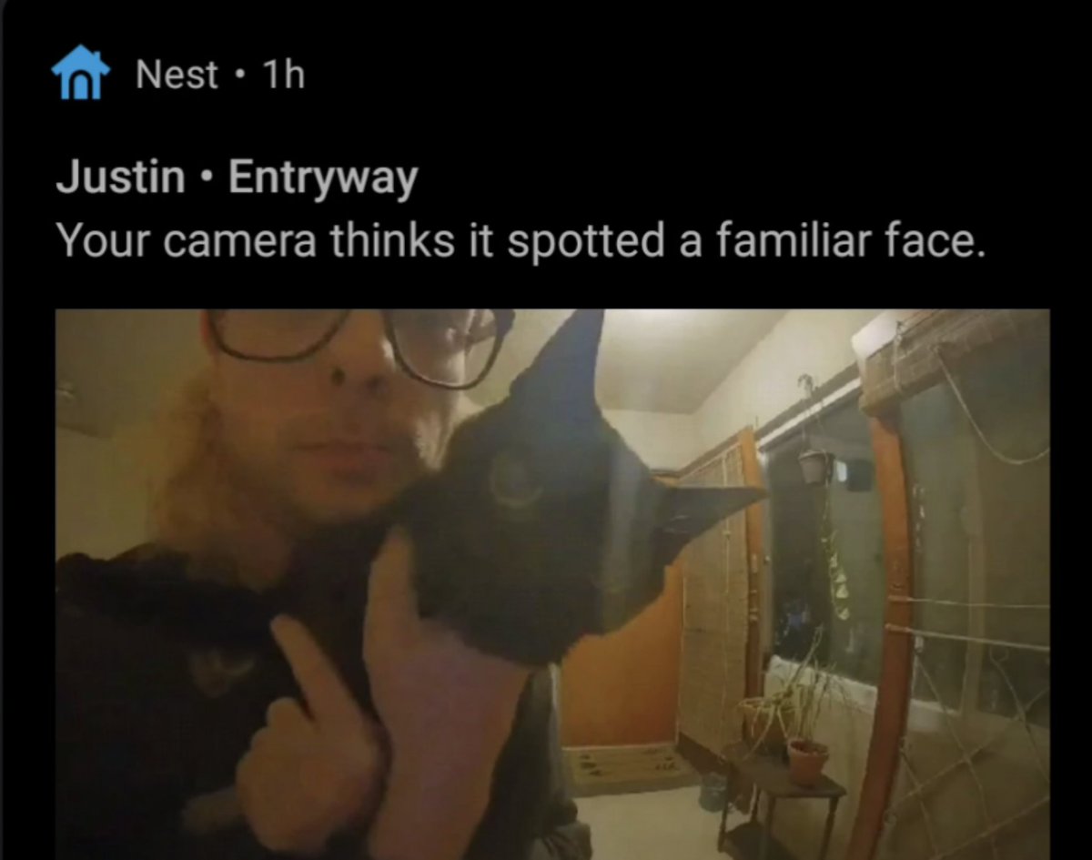 Justin Reynard (@framerate) | Twitter