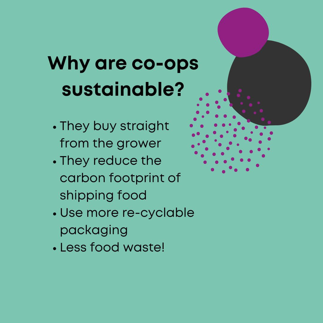 Vegang On Twitter Were You Aware Of The Importance Of Food Co ops vegang-on-twitter-were-you-aware-of-the-importance-of-food-co-ops